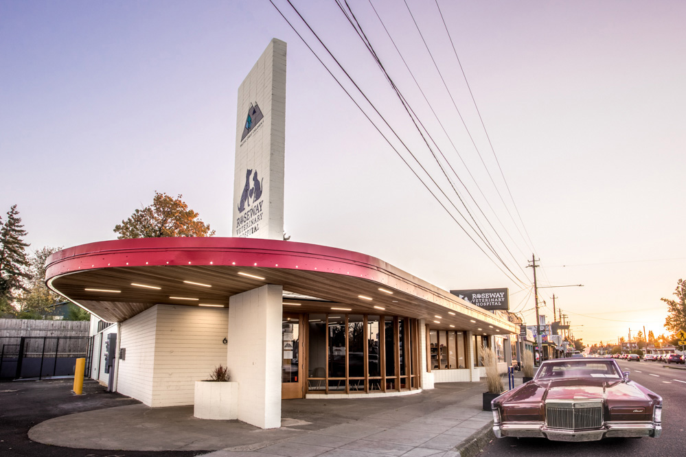 Ethos Development — Projects